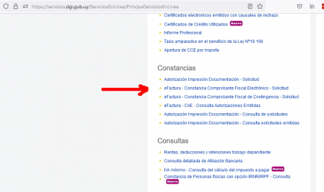 Solicitar CAE en la página de DGI – GEFA